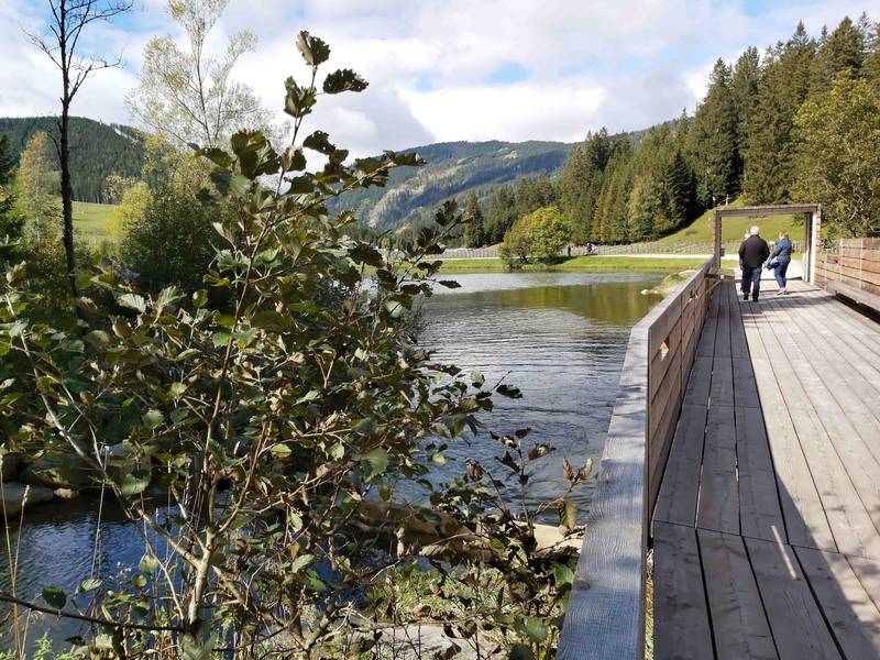 Almenland / Frühling im Naturpark in der Steiermark