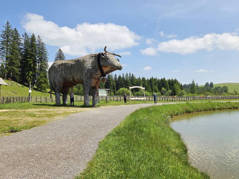 Almenland / Teichalm & Sommeralm / Ausflugsziel / Naturpark