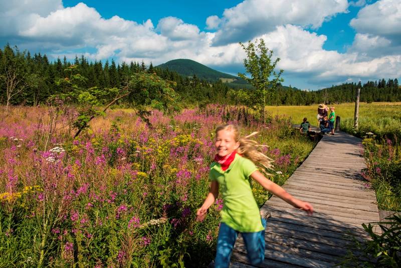 Almenland / Sommer im Naturpark Almenland in der Steiermark
