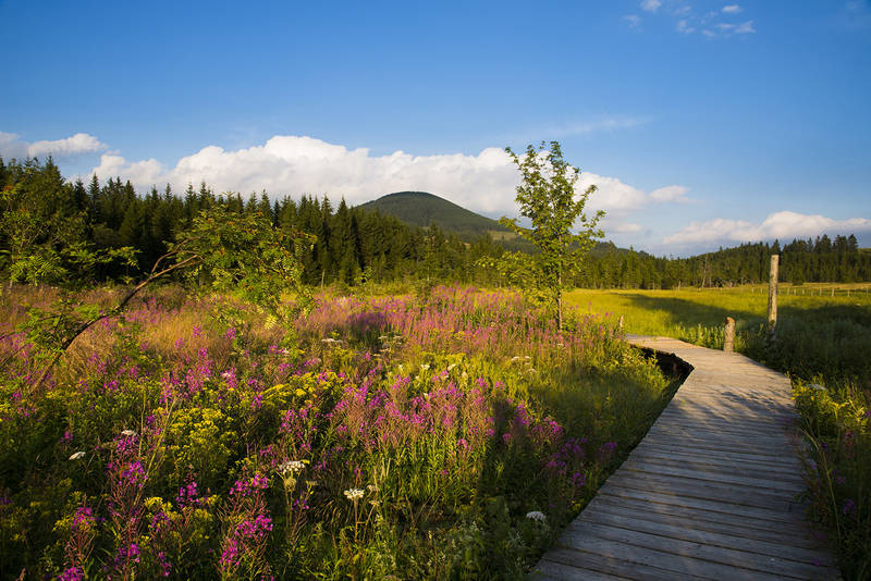 Almenland / Der Naturpark Almenland / Steiermark