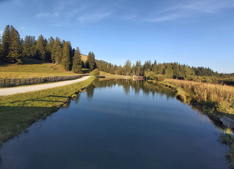 Almenland / Moorlehrpfad / Teichalm / Wanderung
