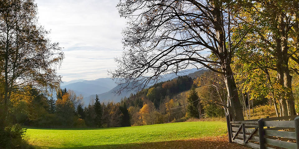 Almenland / Naturpark Almenland Steiermark