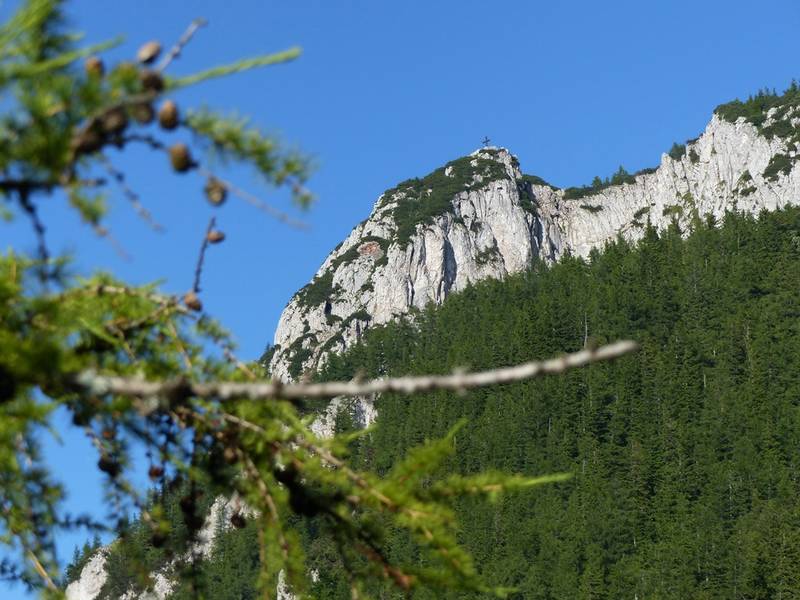 Almenland / Steirischer Jokl / Gastronomie / Naturpark